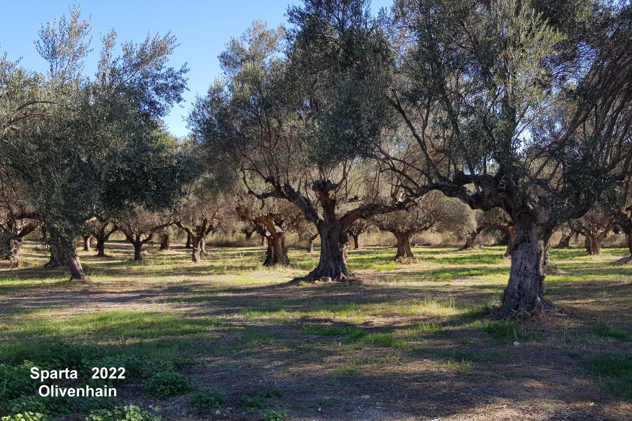 Sparta - Antike Orte